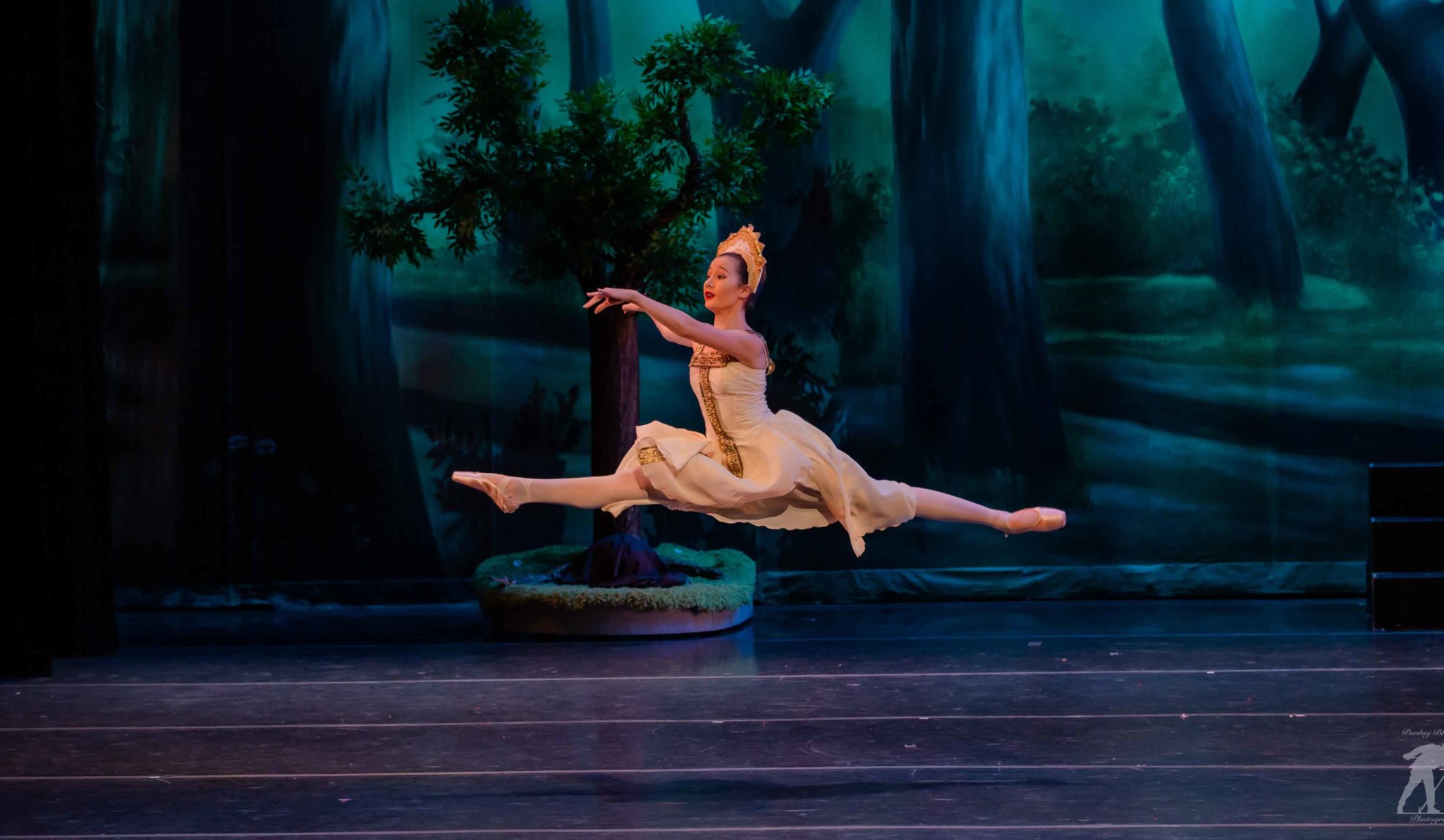 San Jose Dance Theatre on ABC7 News Midday Live - San Jose Dance Theatre